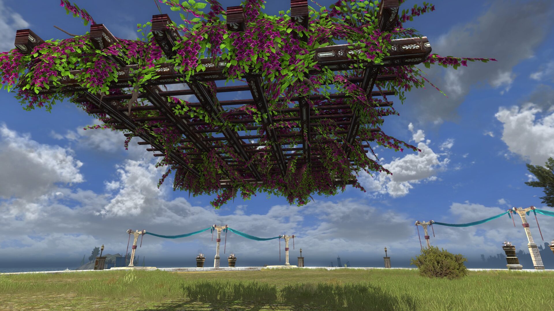 Flowering Pergola Archway (Overhead) | D&Co du Milieu